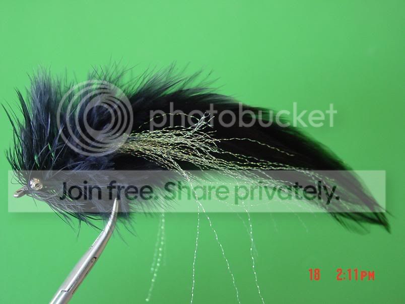 The Hull Truth - Boating and Fishing Forum - Fly Fishing Topic