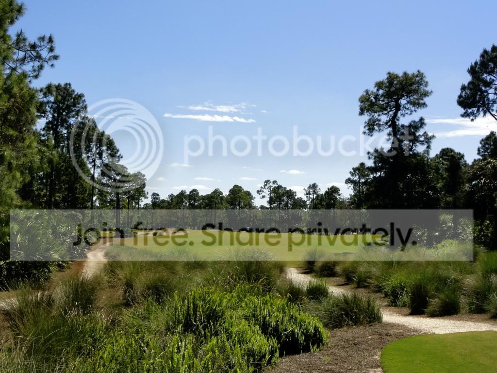 Calusa Pines Golf Club - Florida - GolfWRX