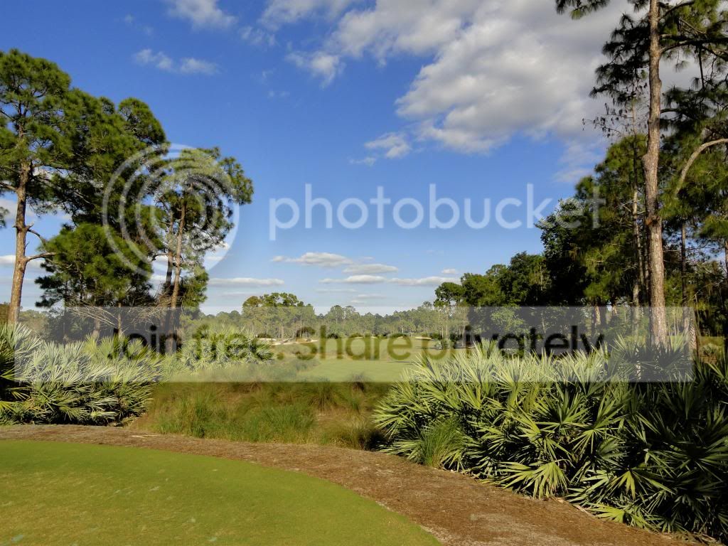 Calusa Pines Golf Club - Florida - GolfWRX