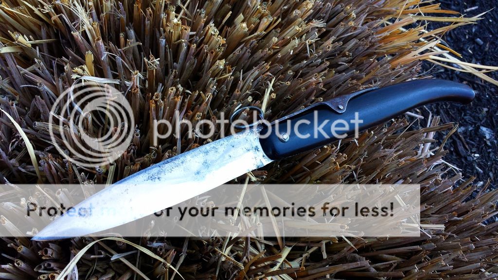 Large, weapon-oriented traditional folders | Page 2 | BladeForums.com