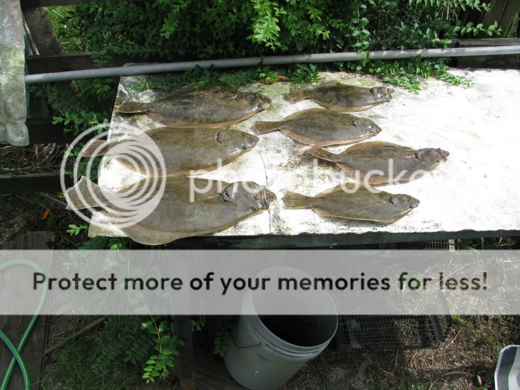 7/22 windy flounder | Pensacola Fishing Forum