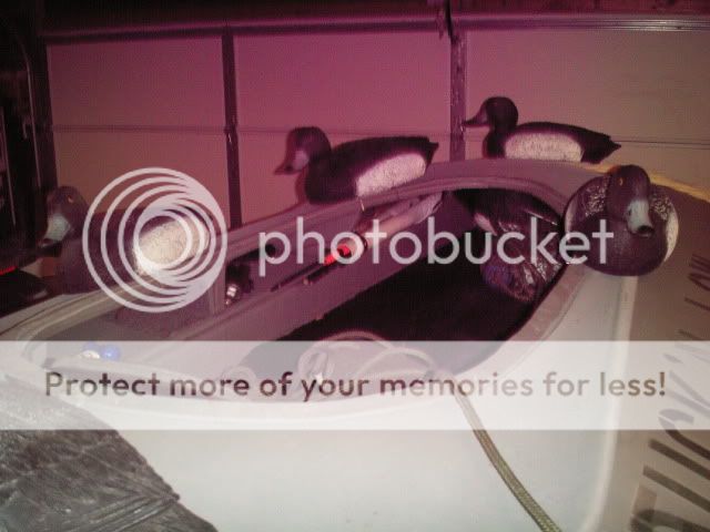 Decoys on the Layout Boat | Duck Hunting Forum