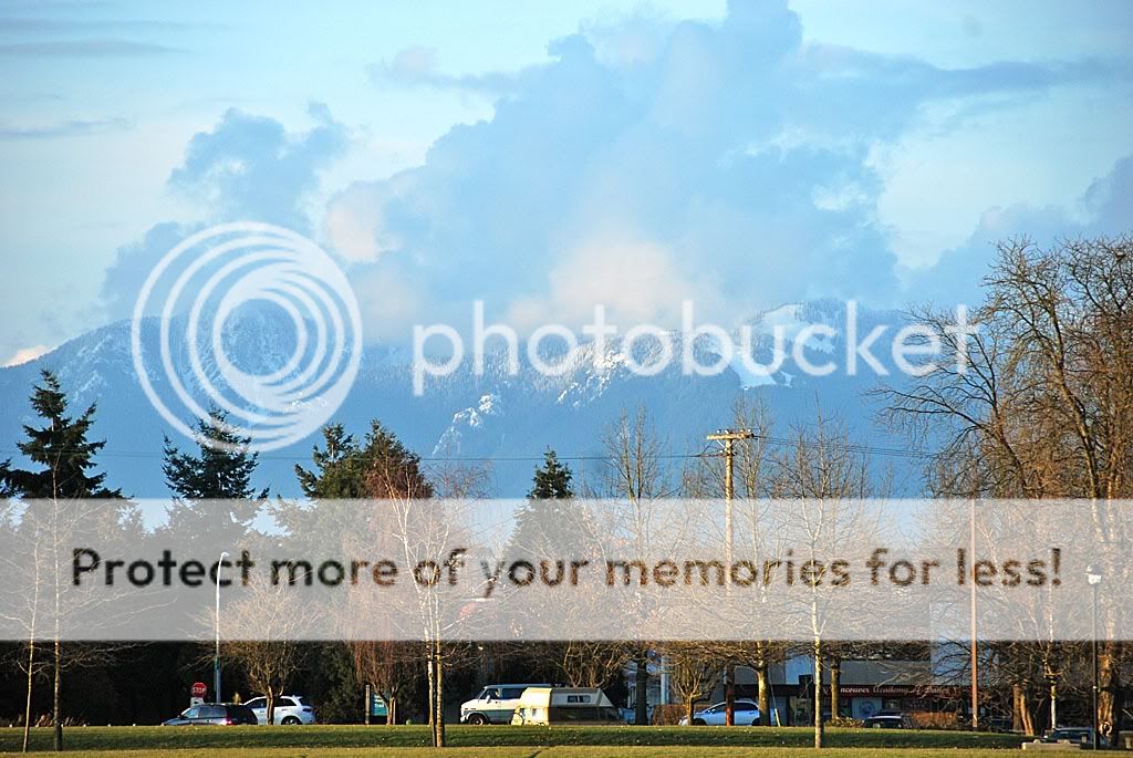 Landscape – Everyday Images